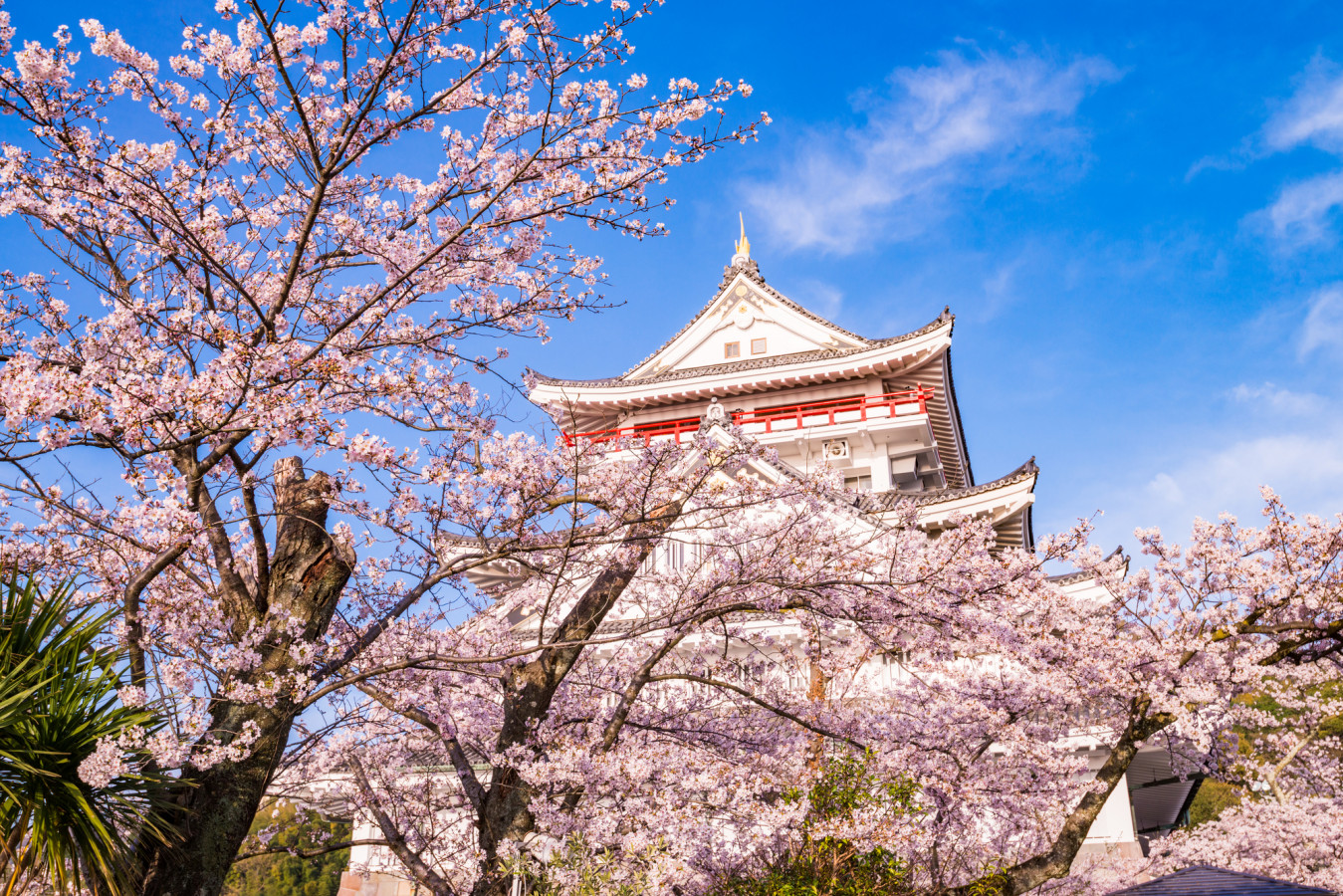 熱海へお出かけなら、3月26日（土）～4月10日（日）まで開催中の「熱海城桜まつり」がイチ押し！